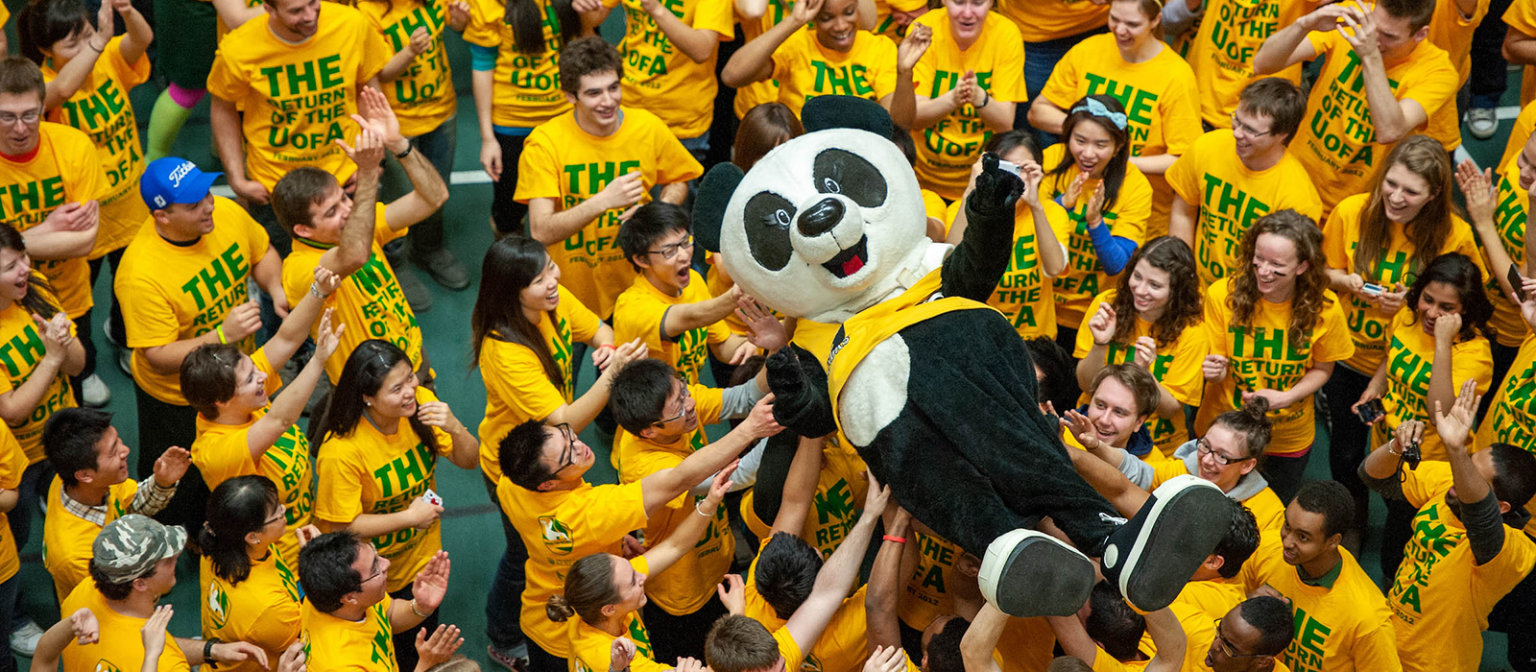 Curious origins, intriguing designs and school spirit: An overview of ...